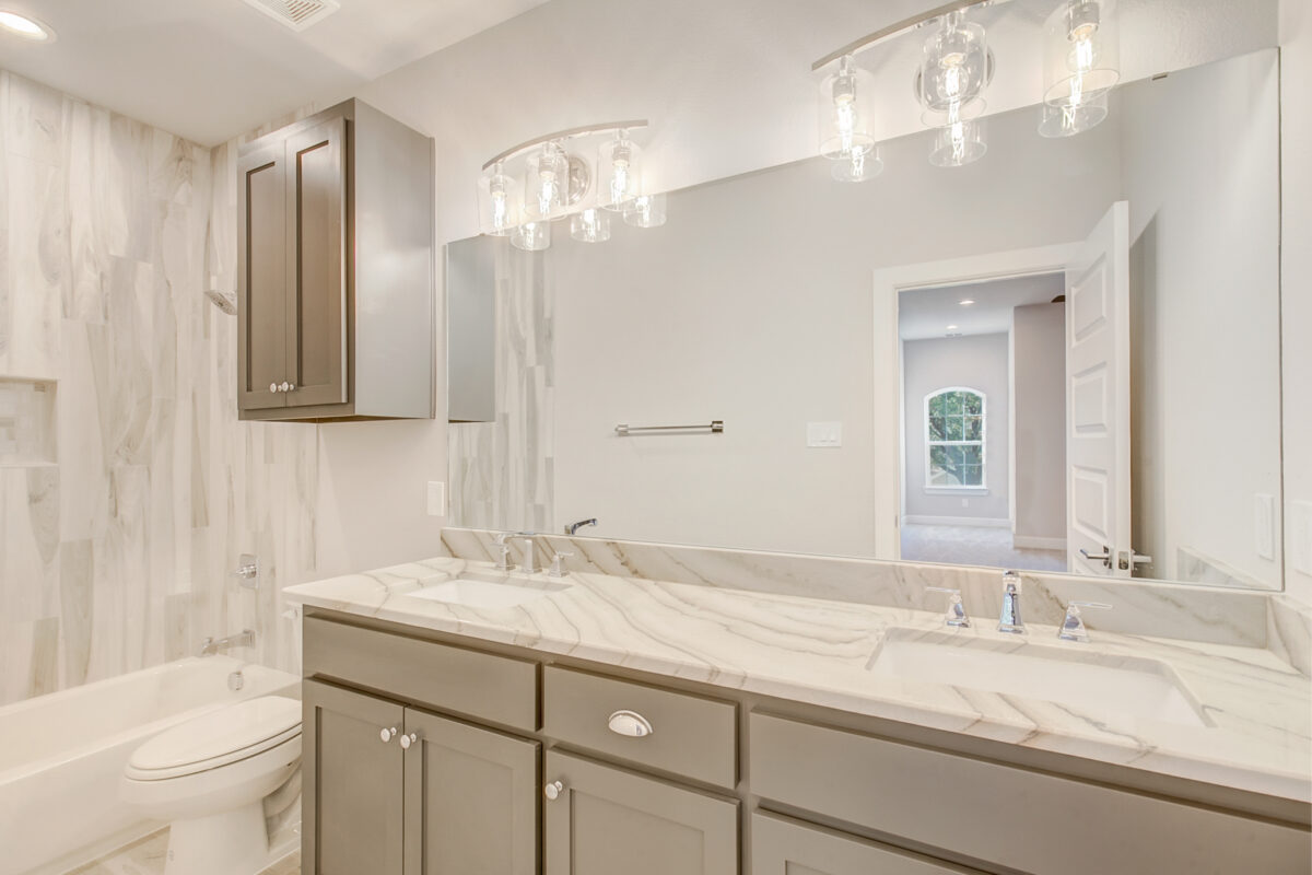 Lexi Plan - Vector Builders