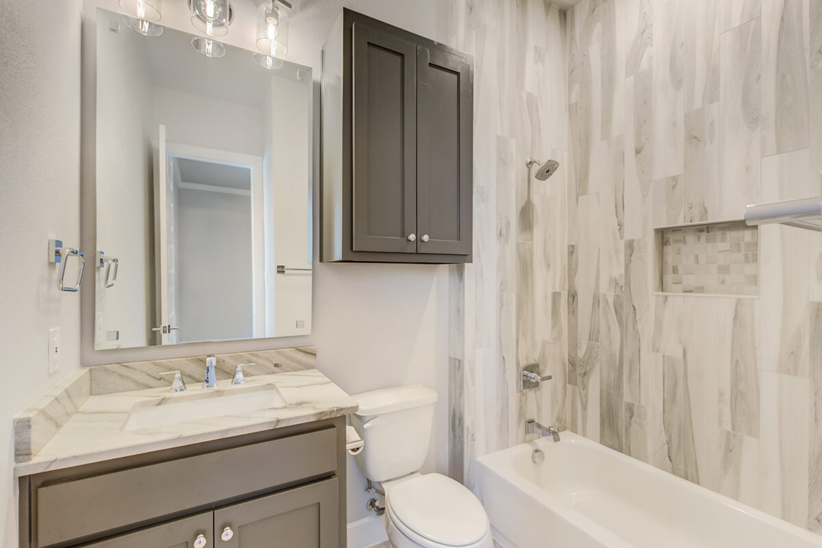 Lexi Plan - Vector Builders